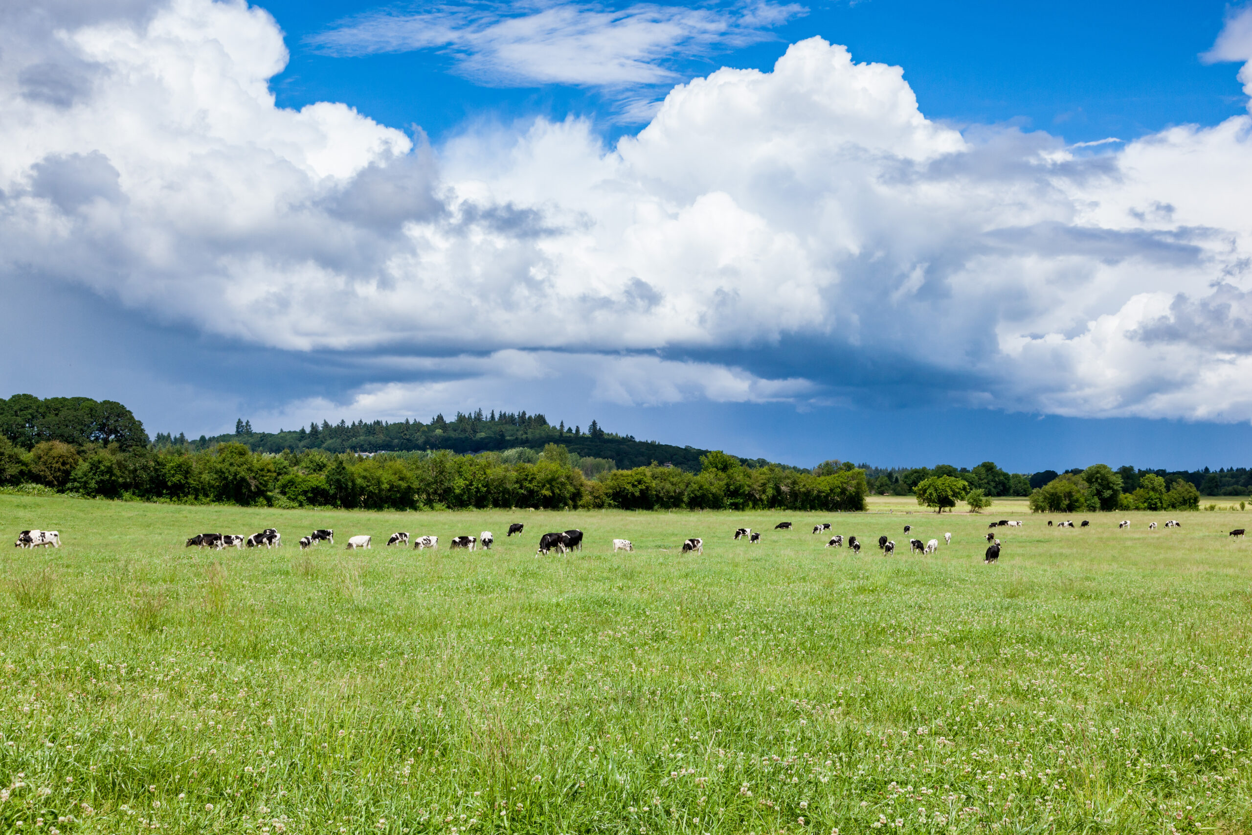 $21.4 Million Net Ecosystem Service Value Benefits Demonstrated Using ...