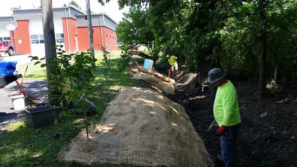 Nature-Based Climate Solutions - Delta Institute