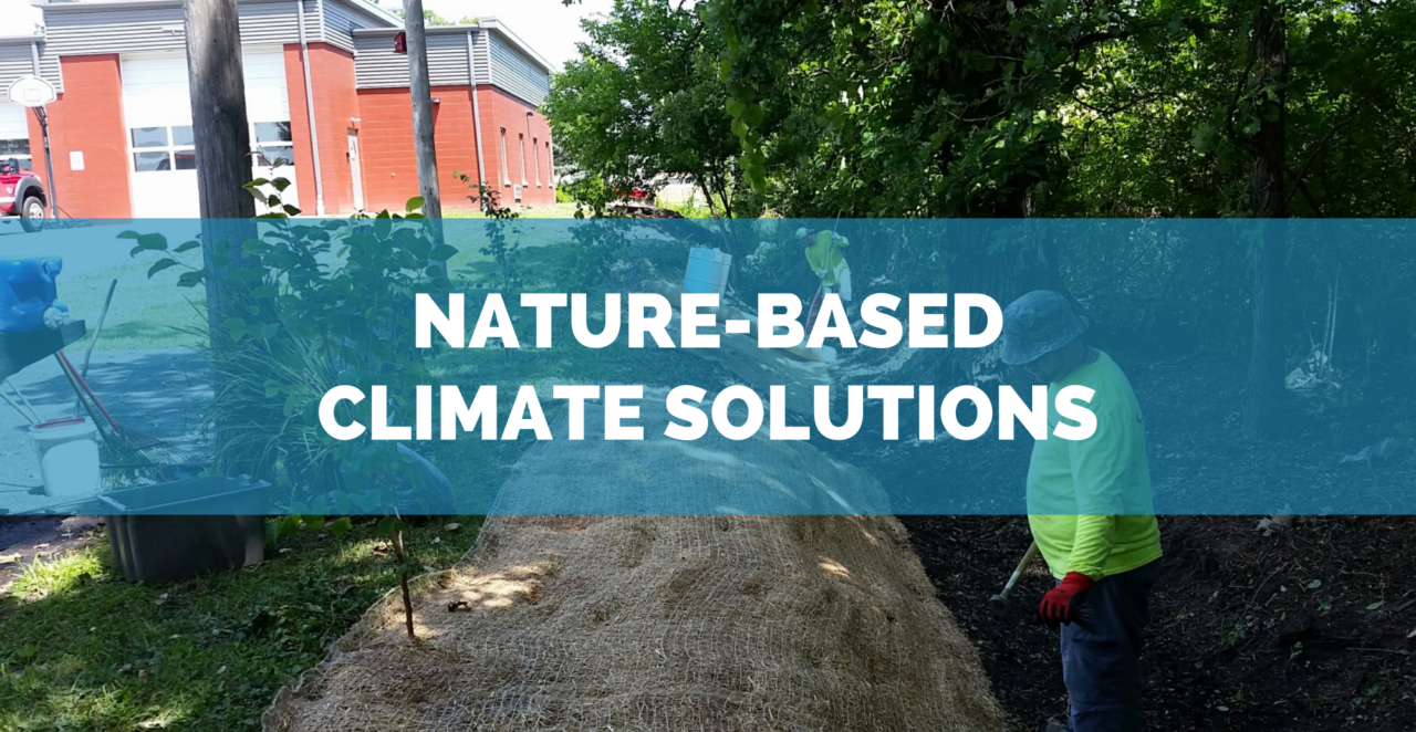 Our Impact: Nature-Based Climate Solutions - Delta Institute
