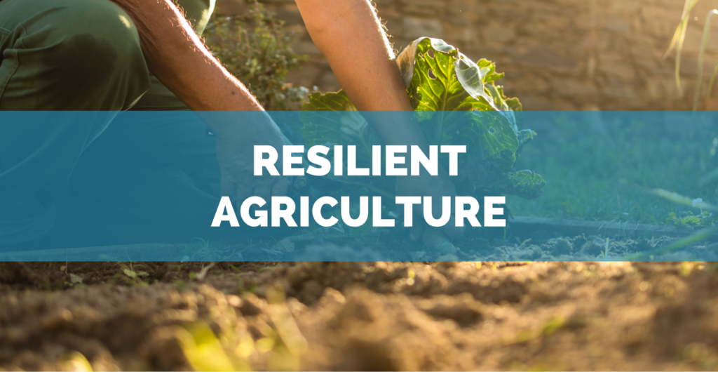 Our Impact: Resilient Agriculture - Delta Institute