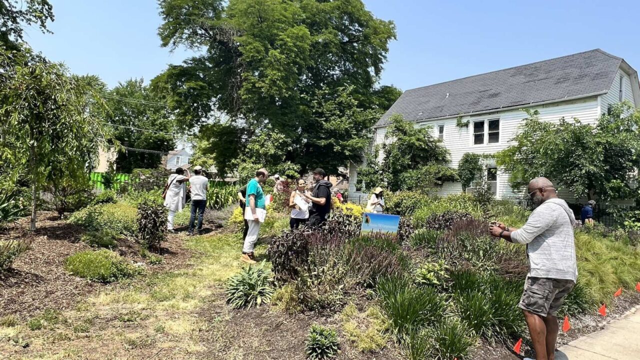 Commemorating freedom, assessing local environmental conditions ...